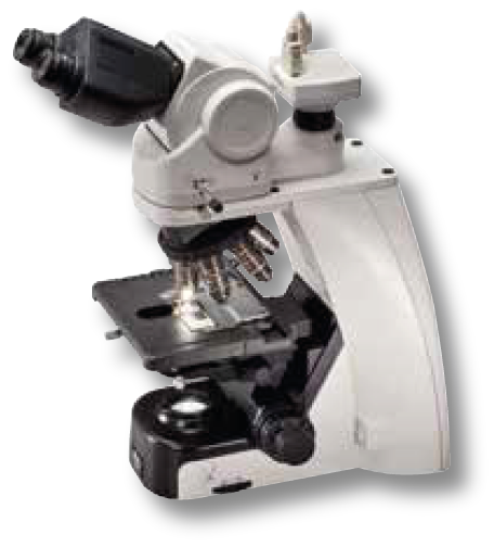 Digital pathology - Excilone - Digital pathologie - Slides scanner - Tissue Micro Array