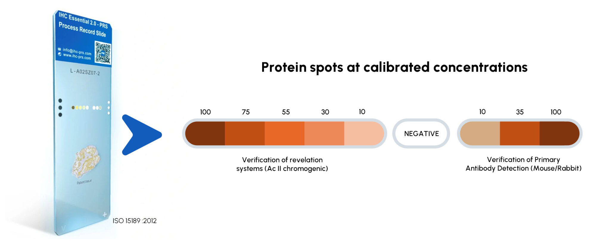 Instrument for pathology - Excilone